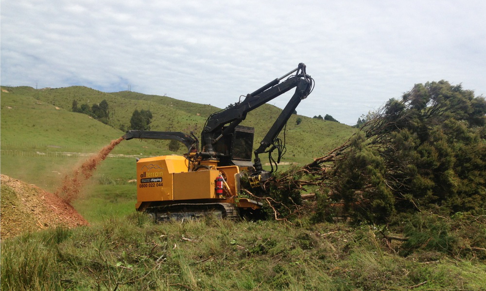 Commercial Tree Removal, Stump Grinding, Chipping & Mulching | Auckland ...